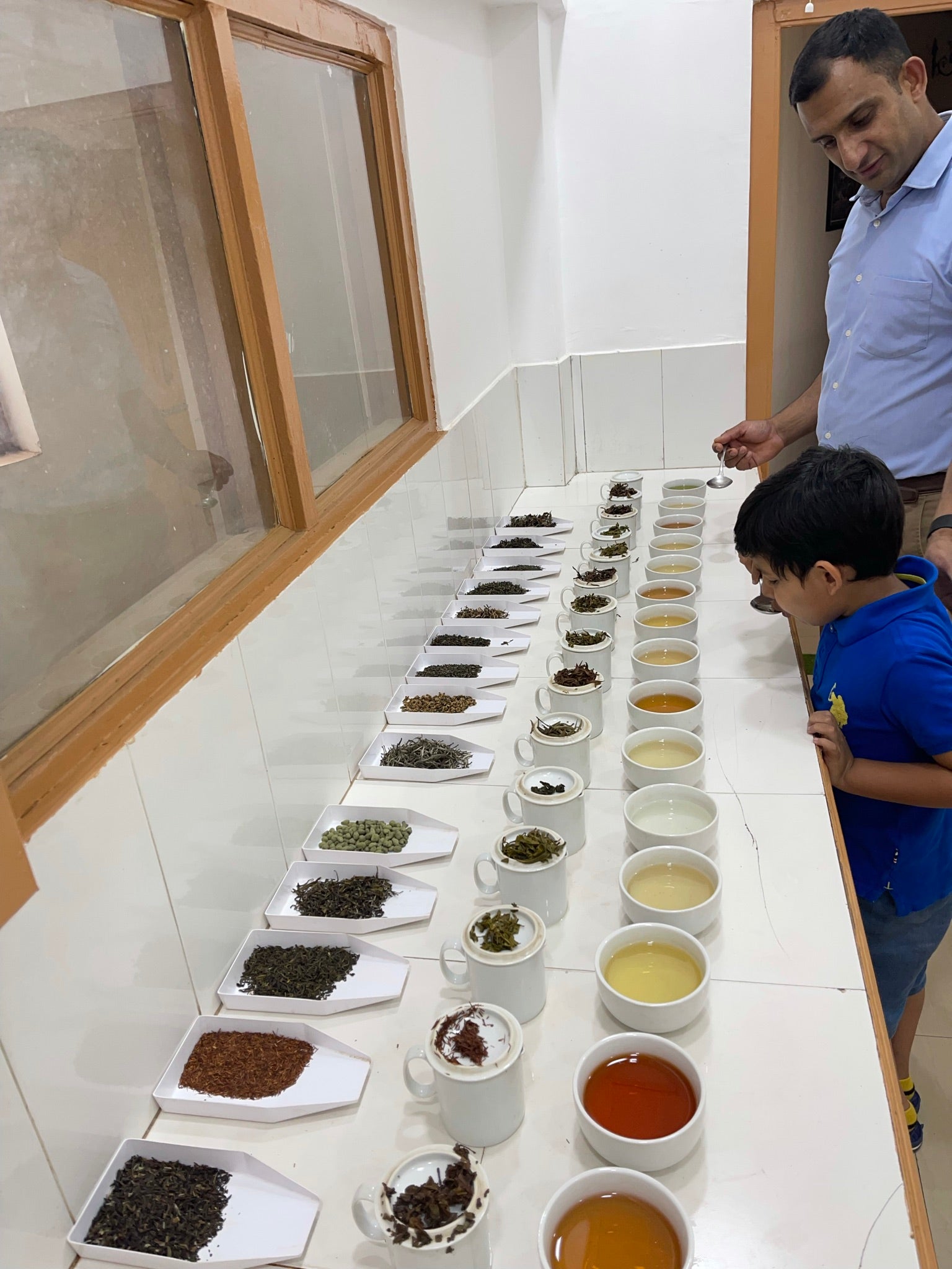About Us | Tea Tour Palampur Dharamshala